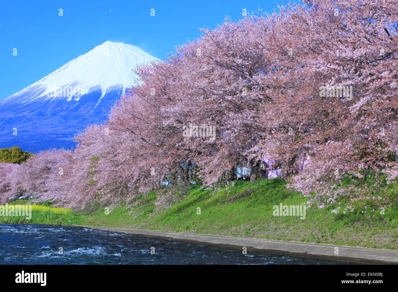 Shizuoka Prefecture, Japan Stock Photo - Alamy