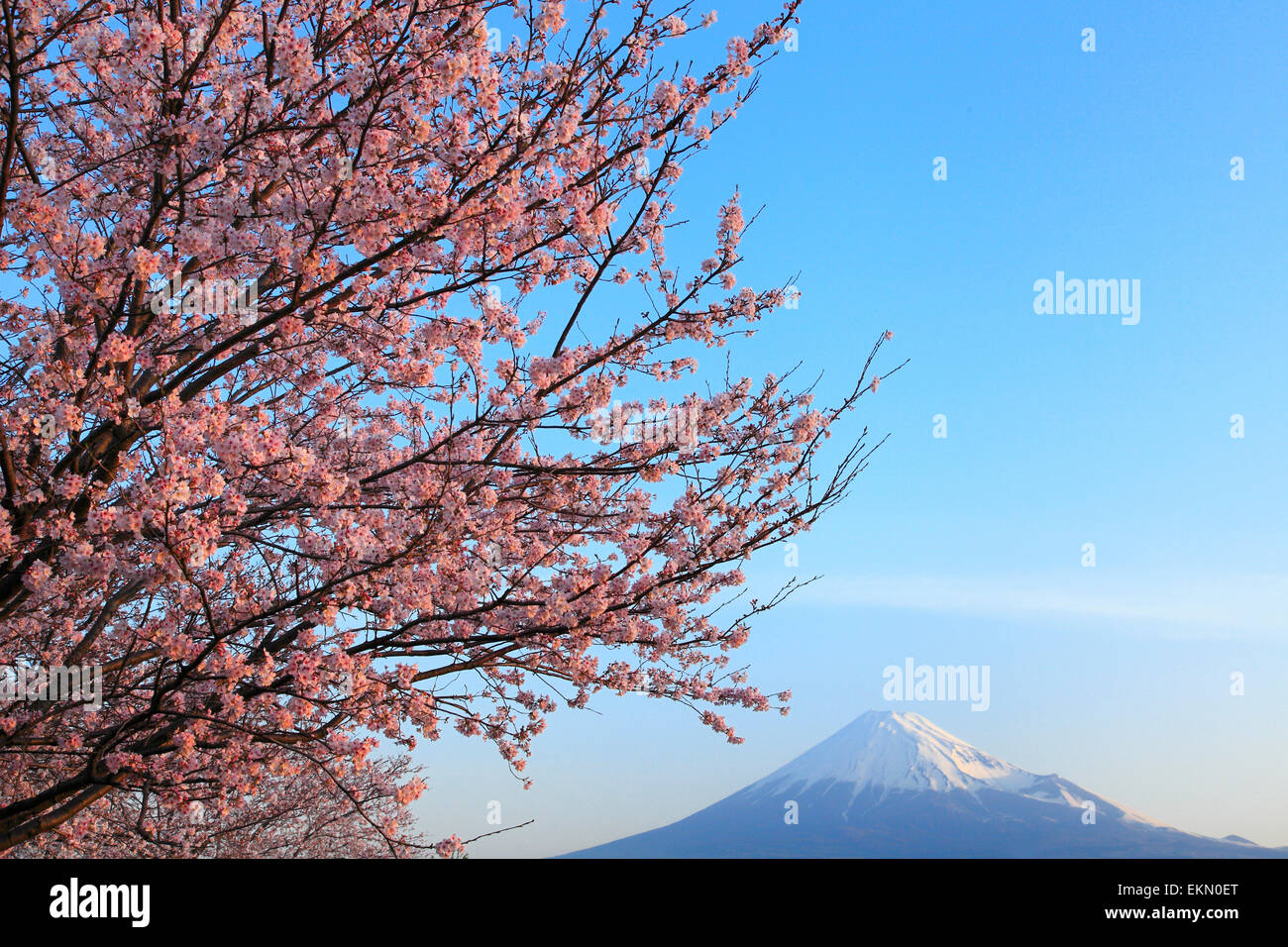 Shizuoka Prefecture, Japan Stock Photo - Alamy