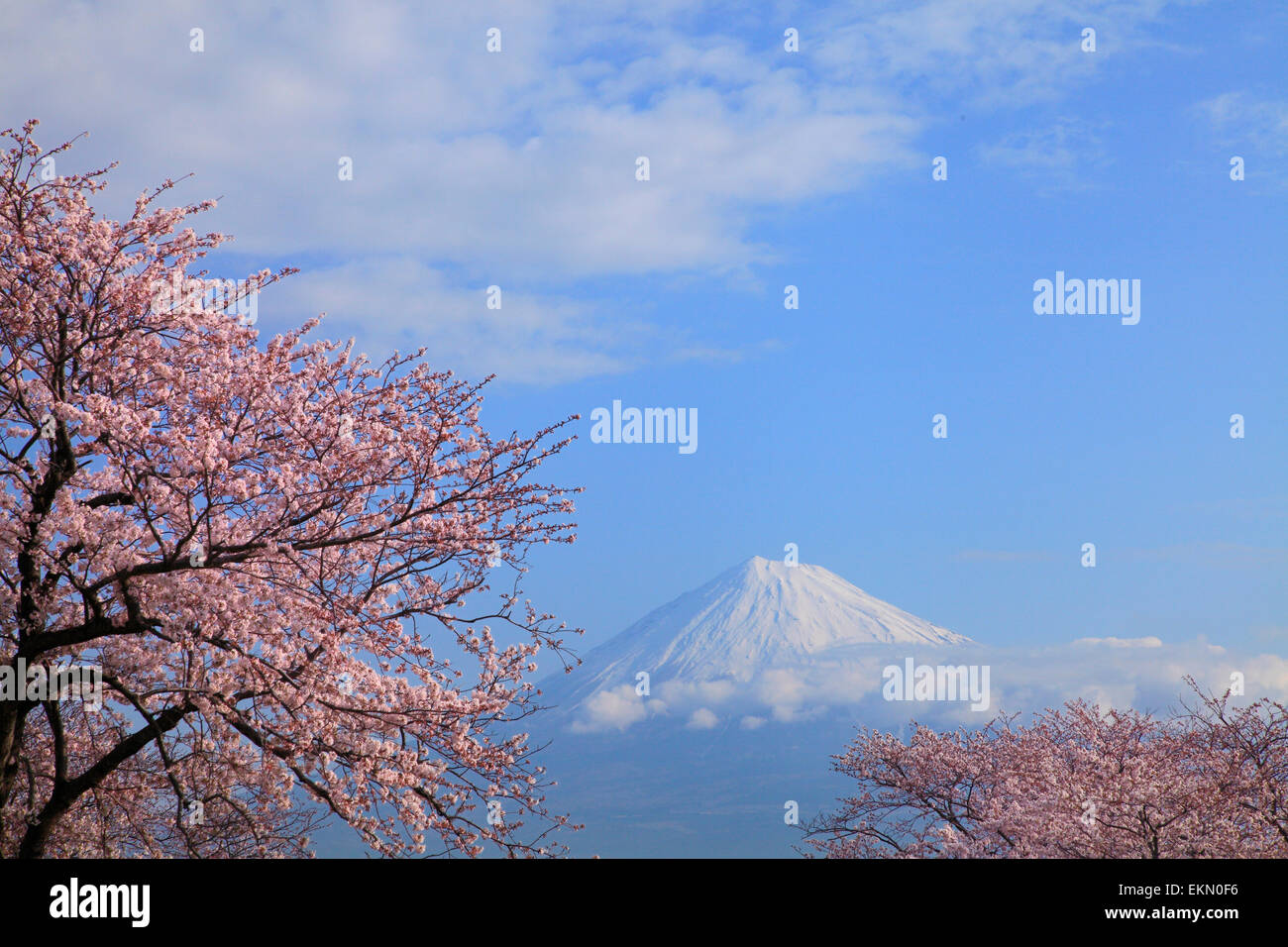 Shizuoka Prefecture, Japan Stock Photo - Alamy