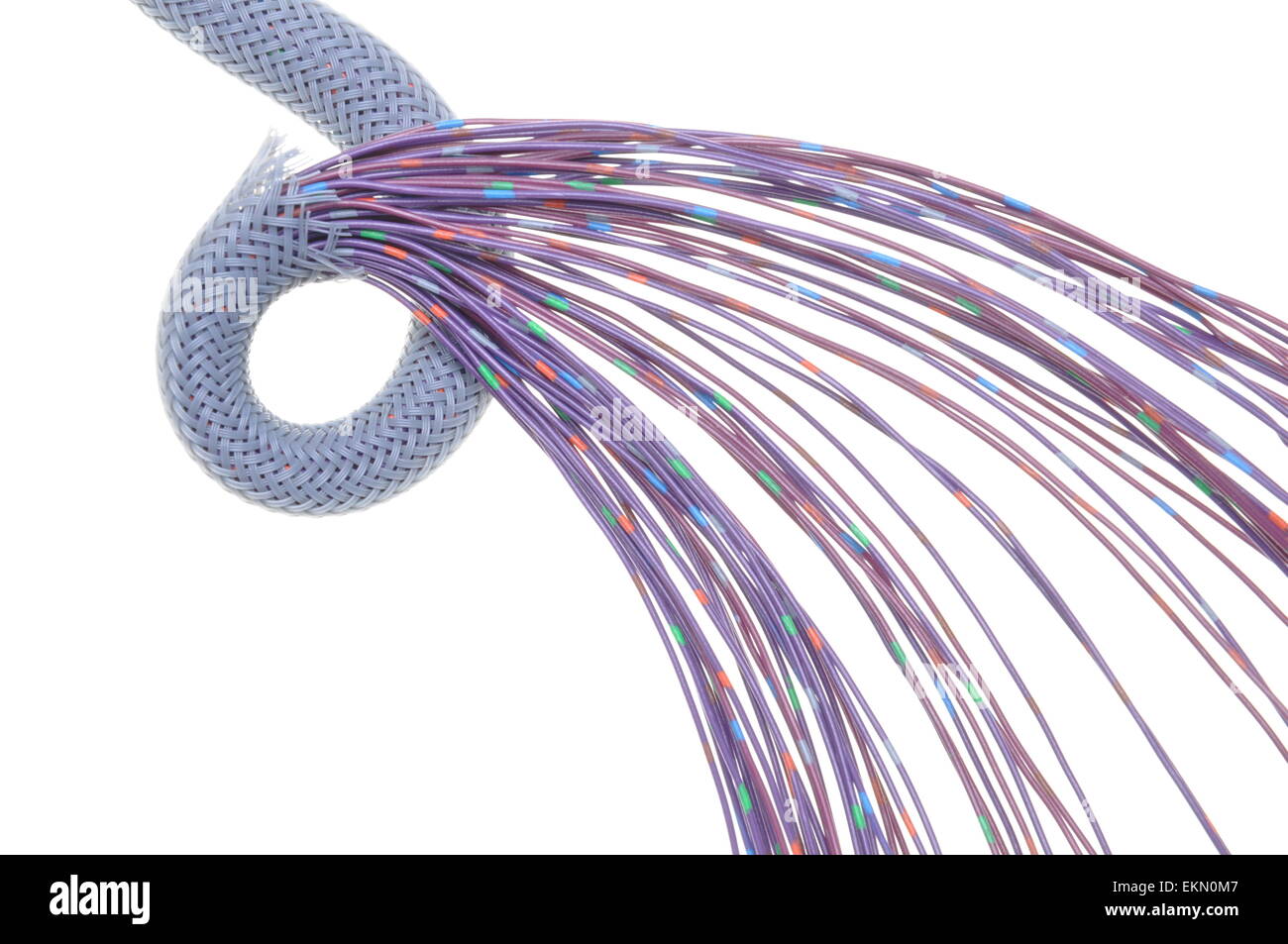 Violet electrical wires with cable shield Stock Photo - Alamy