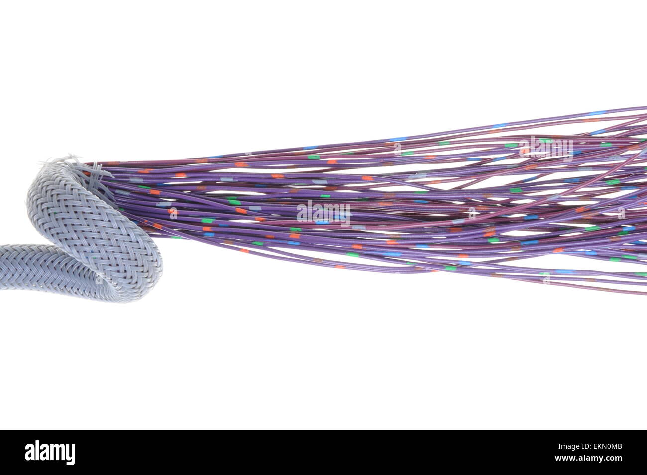 Violet electrical wires with cable shield Stock Photo - Alamy