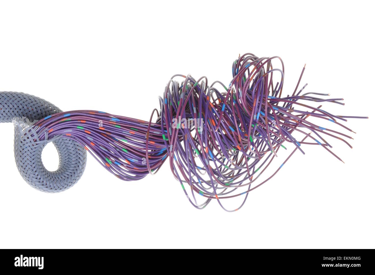 Violet electrical wires with cable shield Stock Photo - Alamy