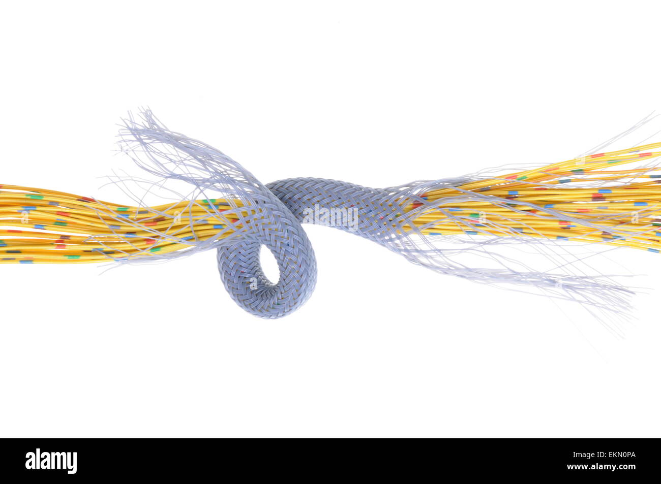 Yellow electrical wires with cable shield Stock Photo - Alamy