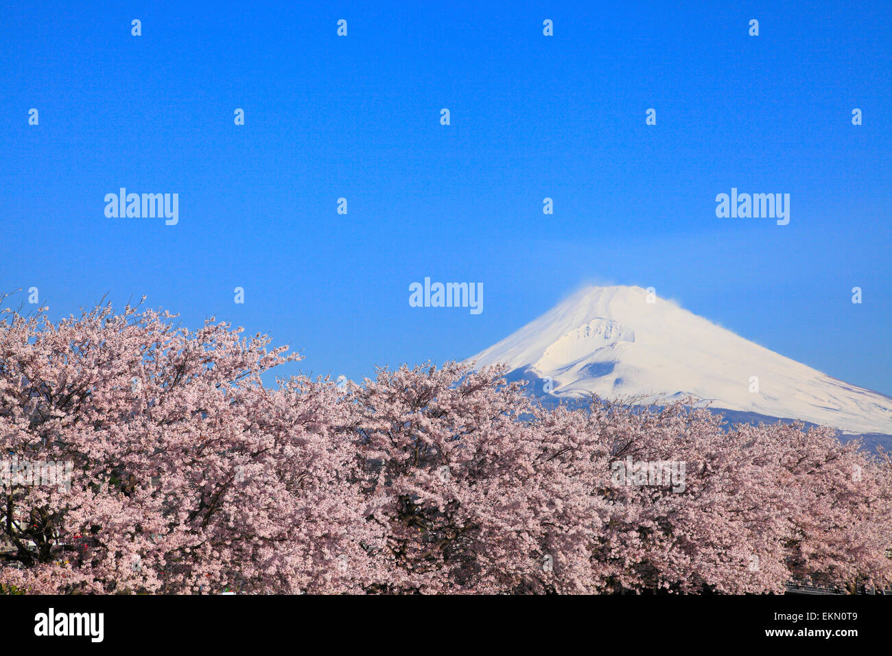 Shizuoka Prefecture, Japan Stock Photo - Alamy