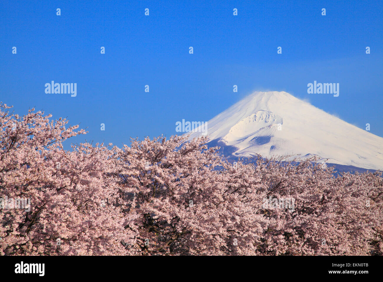 Shizuoka Prefecture, Japan Stock Photo - Alamy