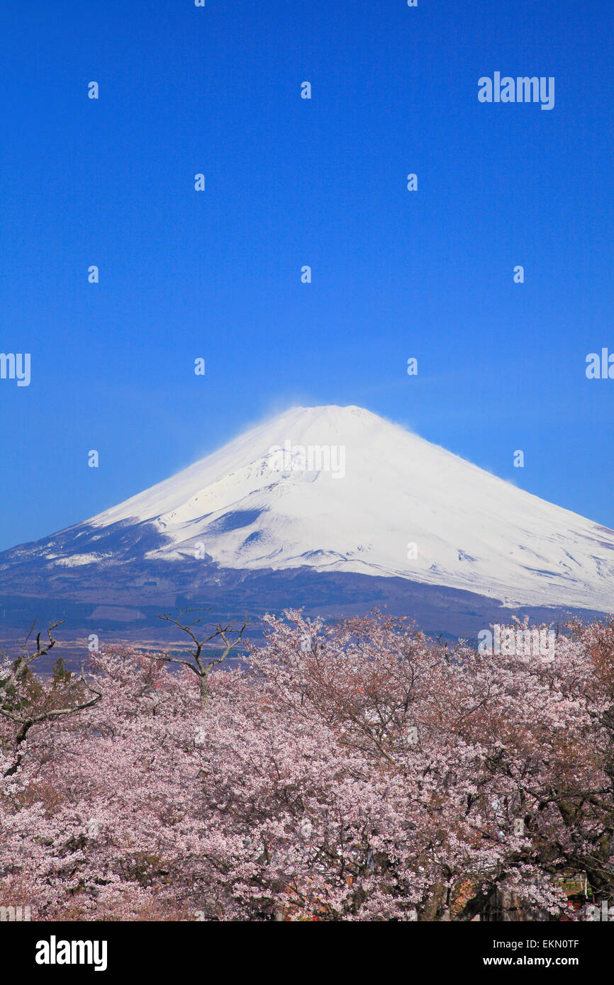 Shizuoka Prefecture, Japan Stock Photo - Alamy