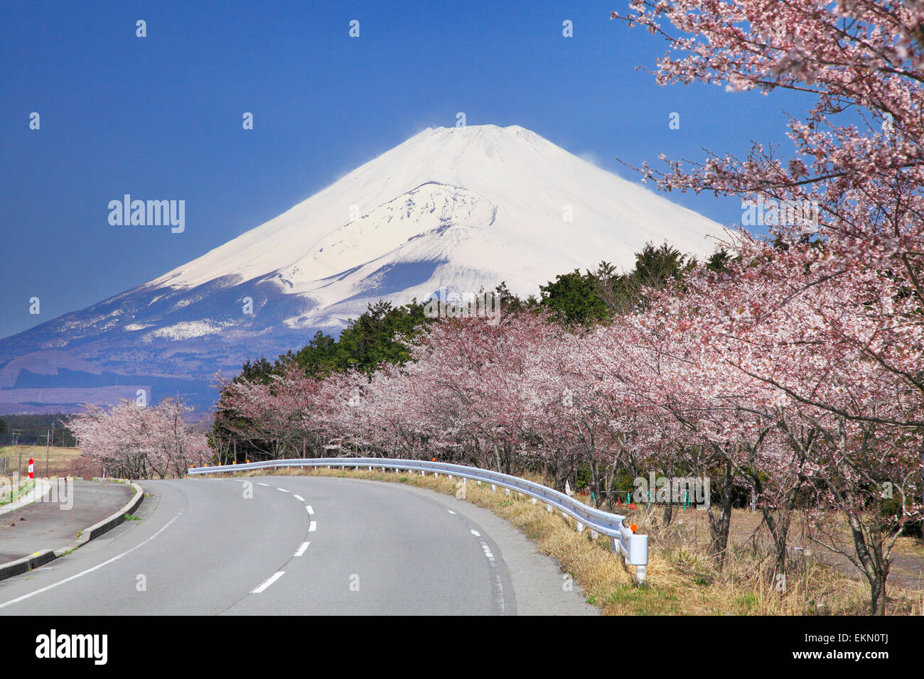 Shizuoka Prefecture, Japan Stock Photo - Alamy