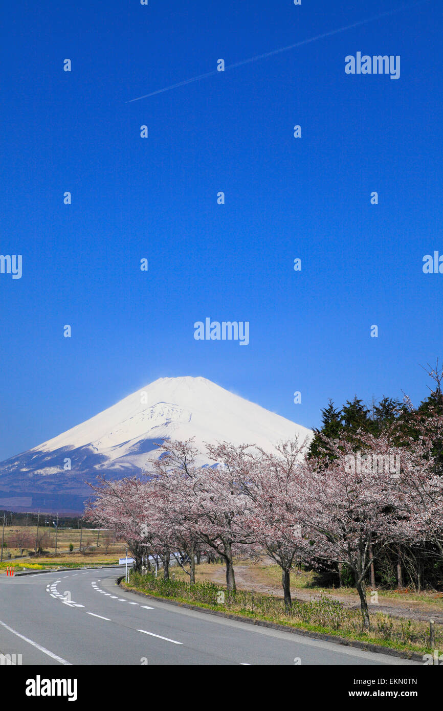 Shizuoka Prefecture, Japan Stock Photo - Alamy