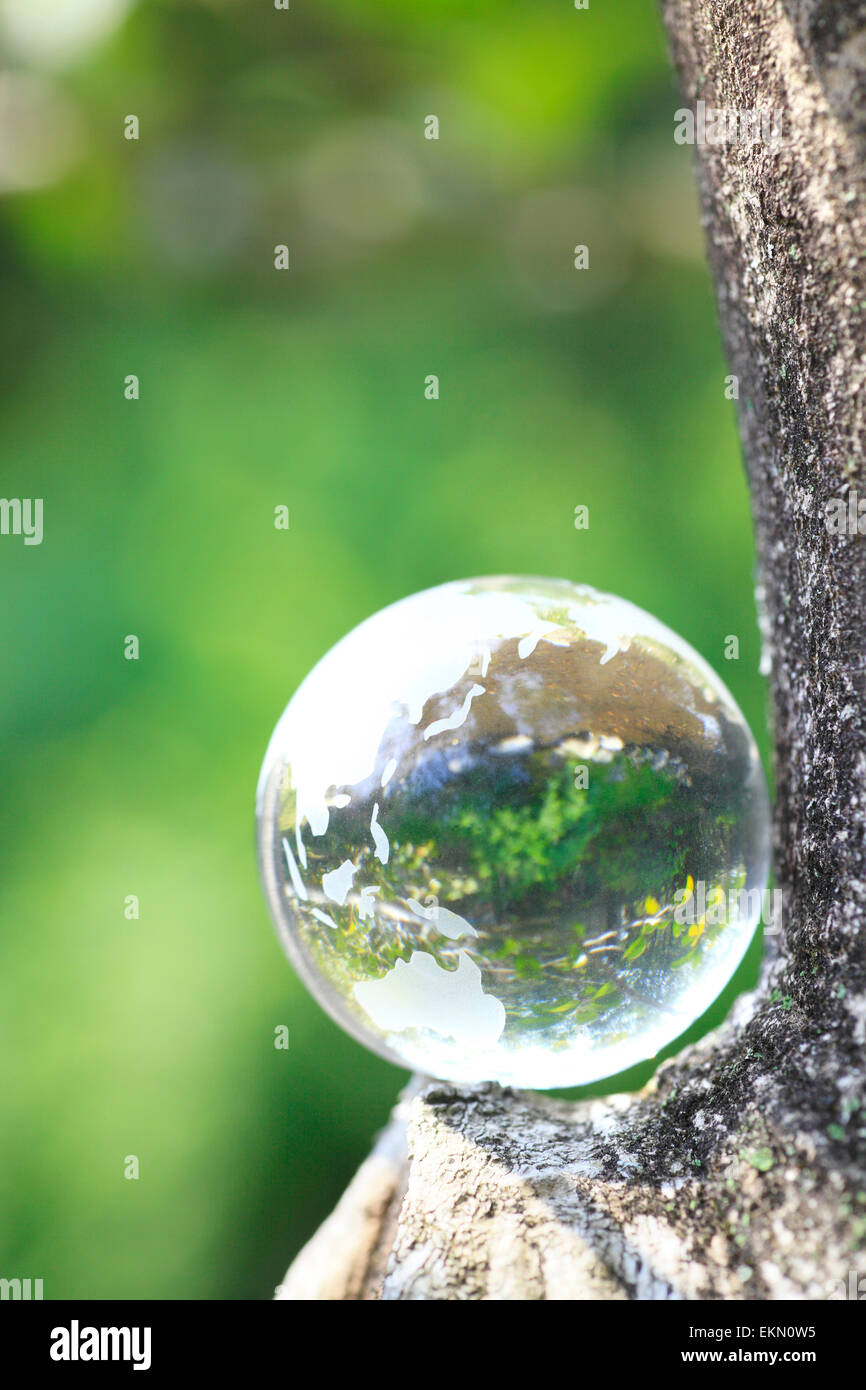 Glass globe in a forest Stock Photo - Alamy