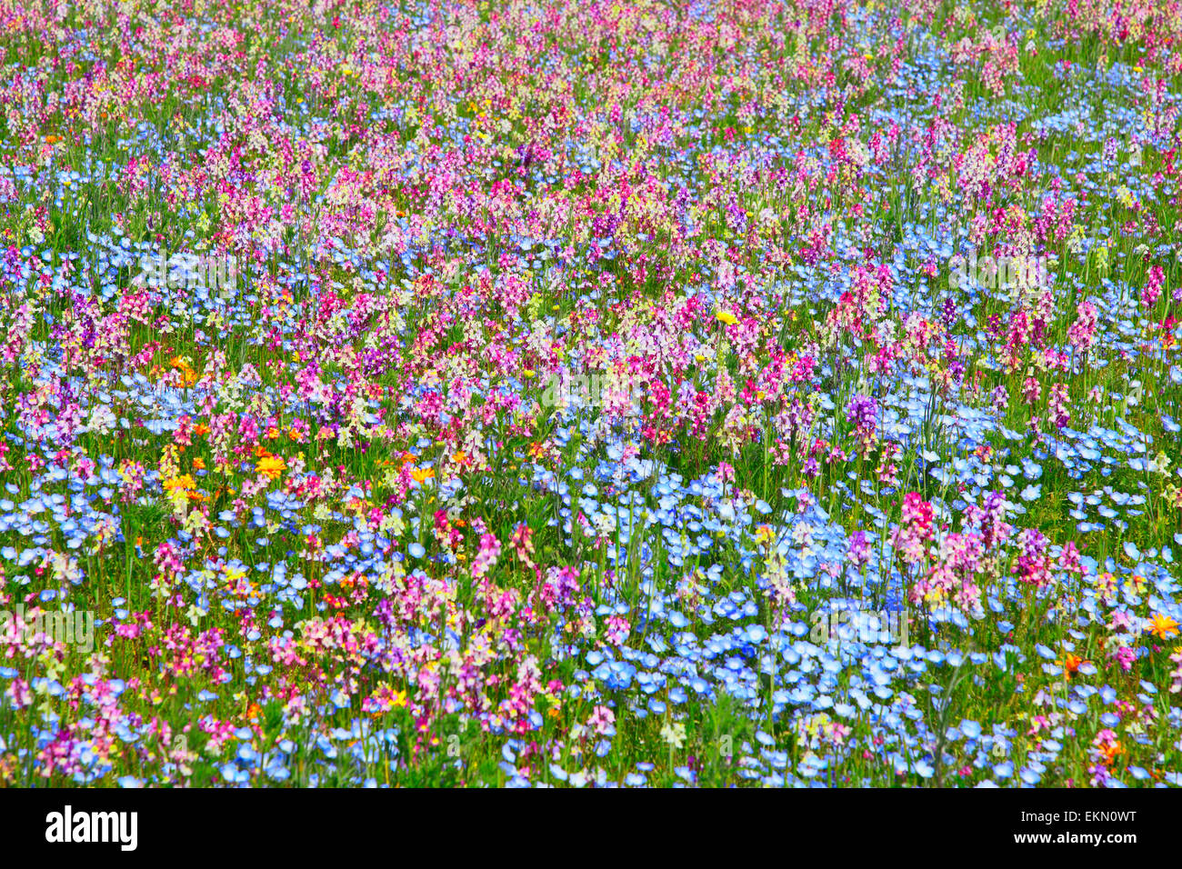 Fallow garden hi-res stock photography and images - Alamy