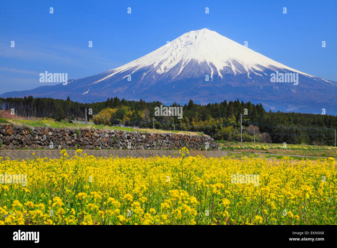 Shizuoka Prefecture, Japan Stock Photo - Alamy