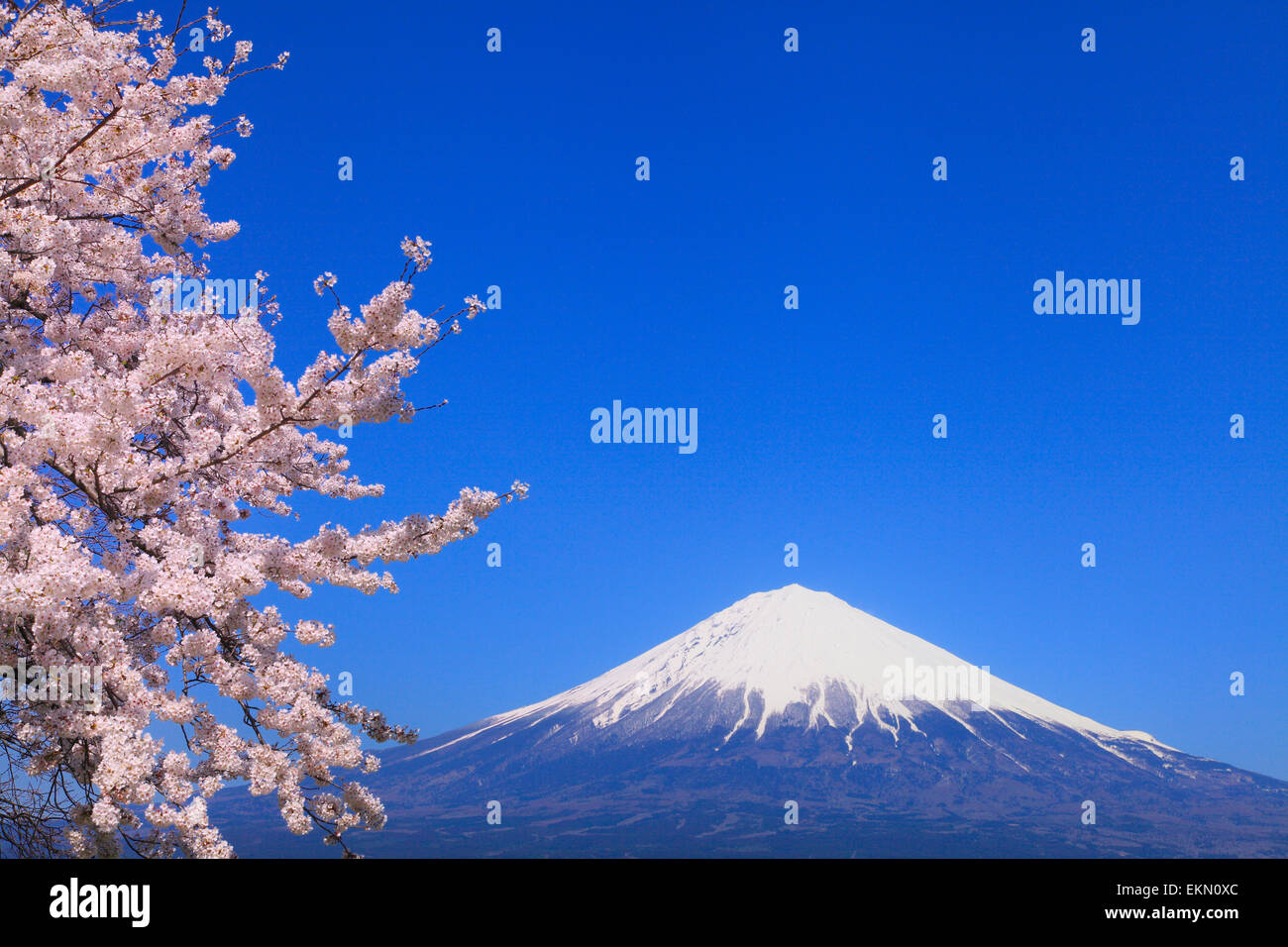 Shizuoka Prefecture, Japan Stock Photo - Alamy