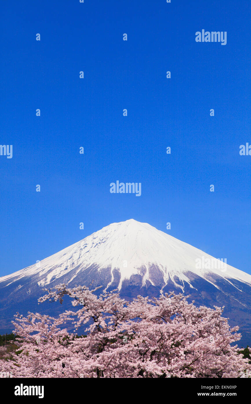 Shizuoka Prefecture, Japan Stock Photo - Alamy