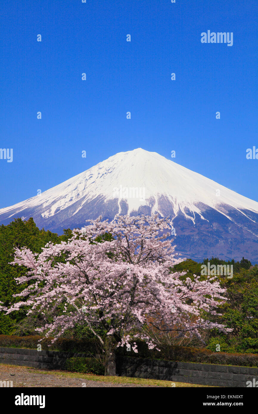 Shizuoka Prefecture, Japan Stock Photo - Alamy