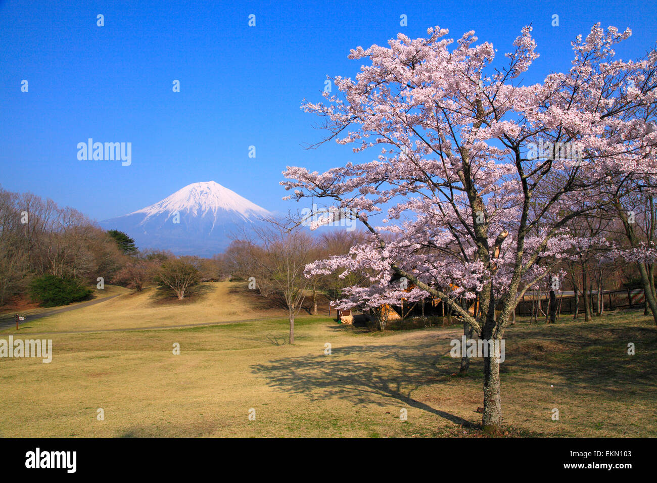 Shizuoka Prefecture, Japan Stock Photo - Alamy