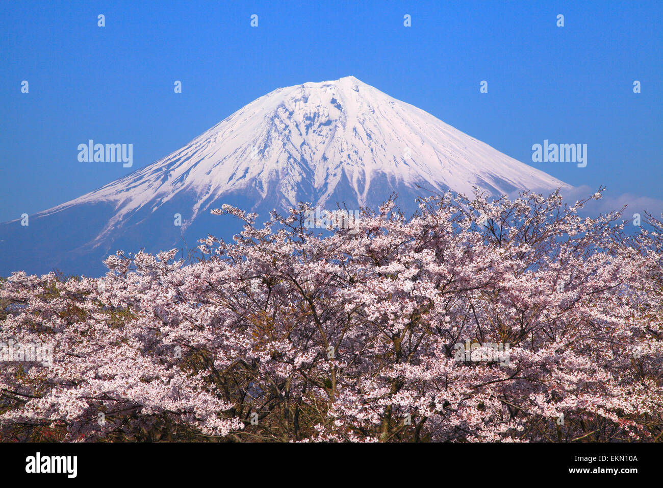 Shizuoka Prefecture, Japan Stock Photo - Alamy