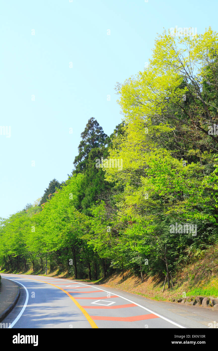 Greenery slope hi-res stock photography and images - Alamy