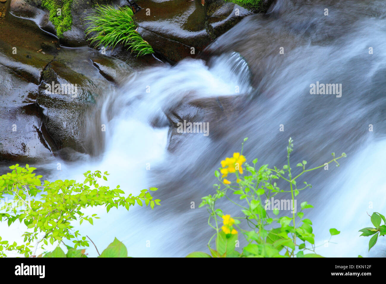 Mountain water stream Stock Photo - Alamy