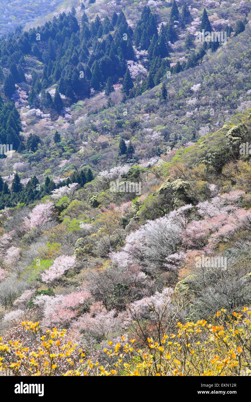 Shizuoka Prefecture, Japan Stock Photo - Alamy