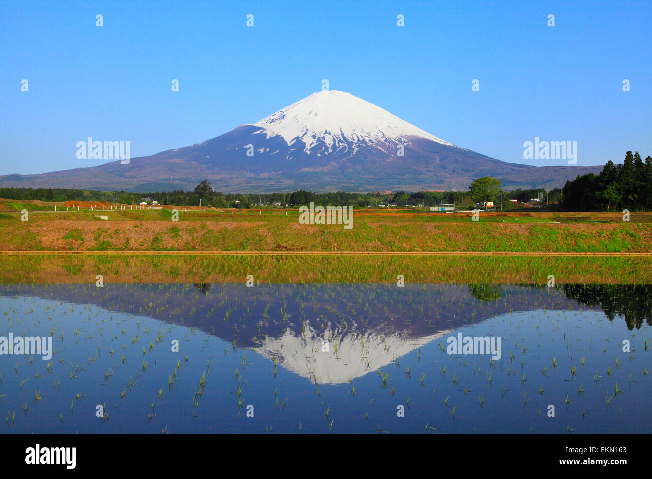 Shizuoka Prefecture, Japan Stock Photo - Alamy