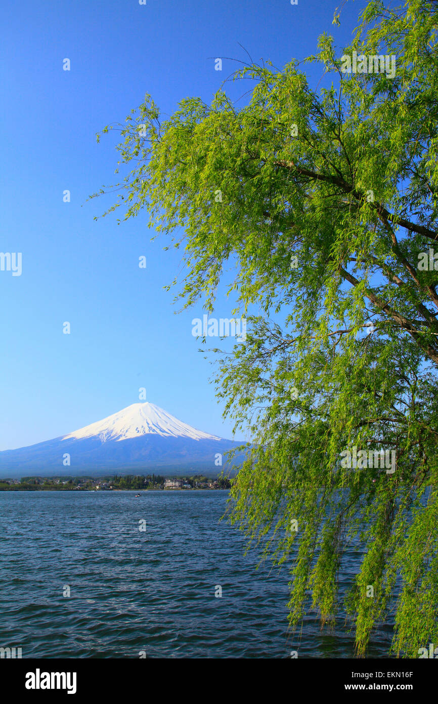 Yamanashi Prefecture, Japan Stock Photo - Alamy