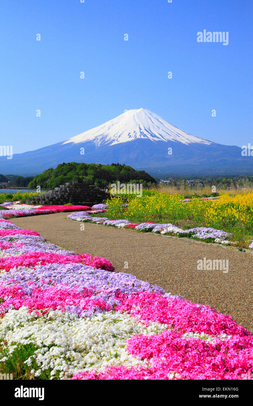 Yamanashi Prefecture, Japan Stock Photo - Alamy
