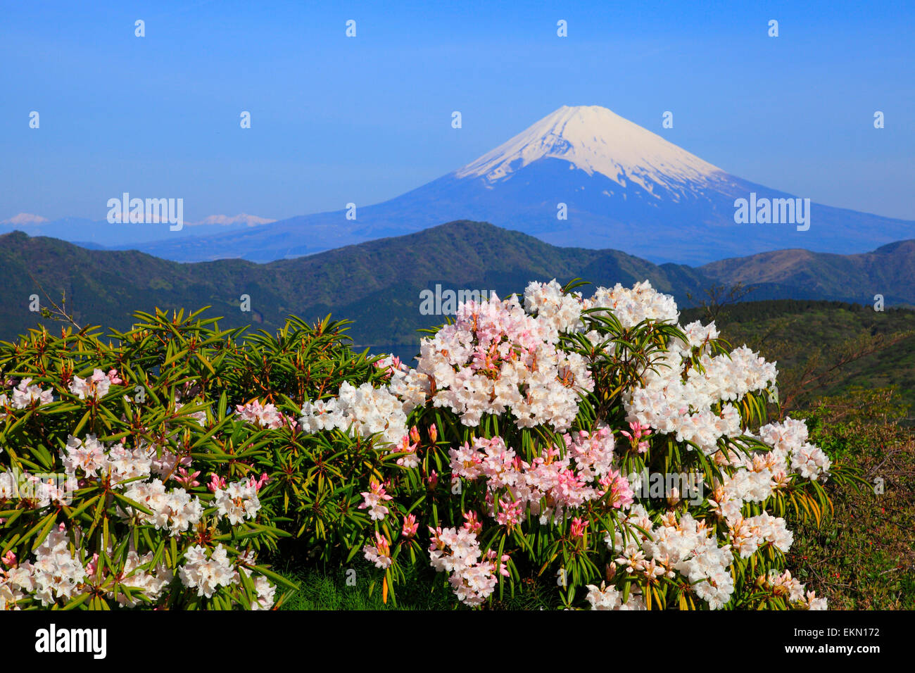 Kanagawa Prefecture, Japan Stock Photo - Alamy