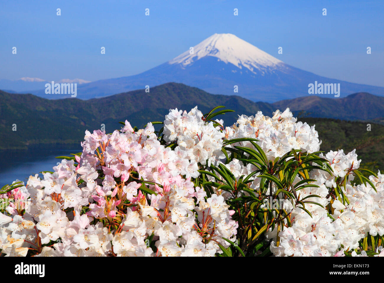 Kanagawa Prefecture, Japan Stock Photo - Alamy