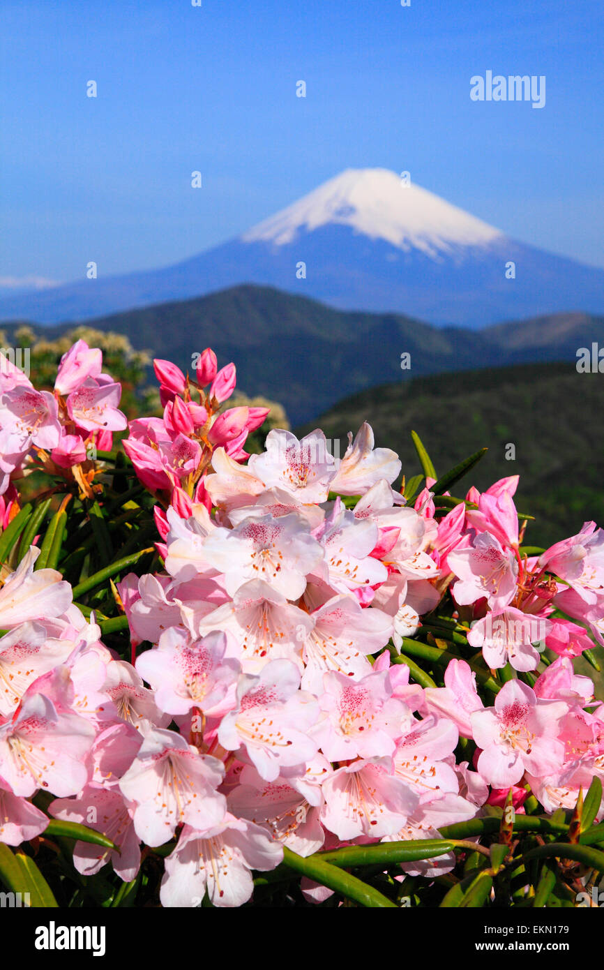Kanagawa Prefecture, Japan Stock Photo - Alamy