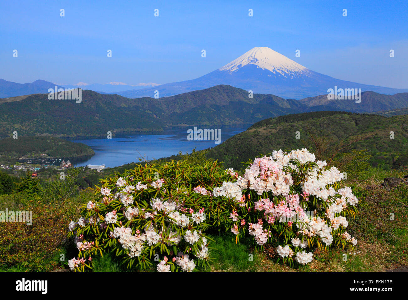 Kanagawa Prefecture, Japan Stock Photo - Alamy