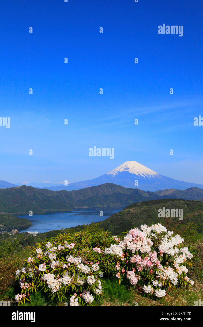 Kanagawa Prefecture, Japan Stock Photo - Alamy