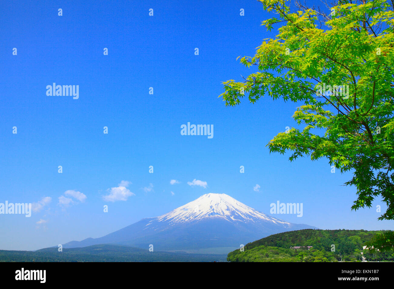 Yamanashi Prefecture, Japan Stock Photo - Alamy