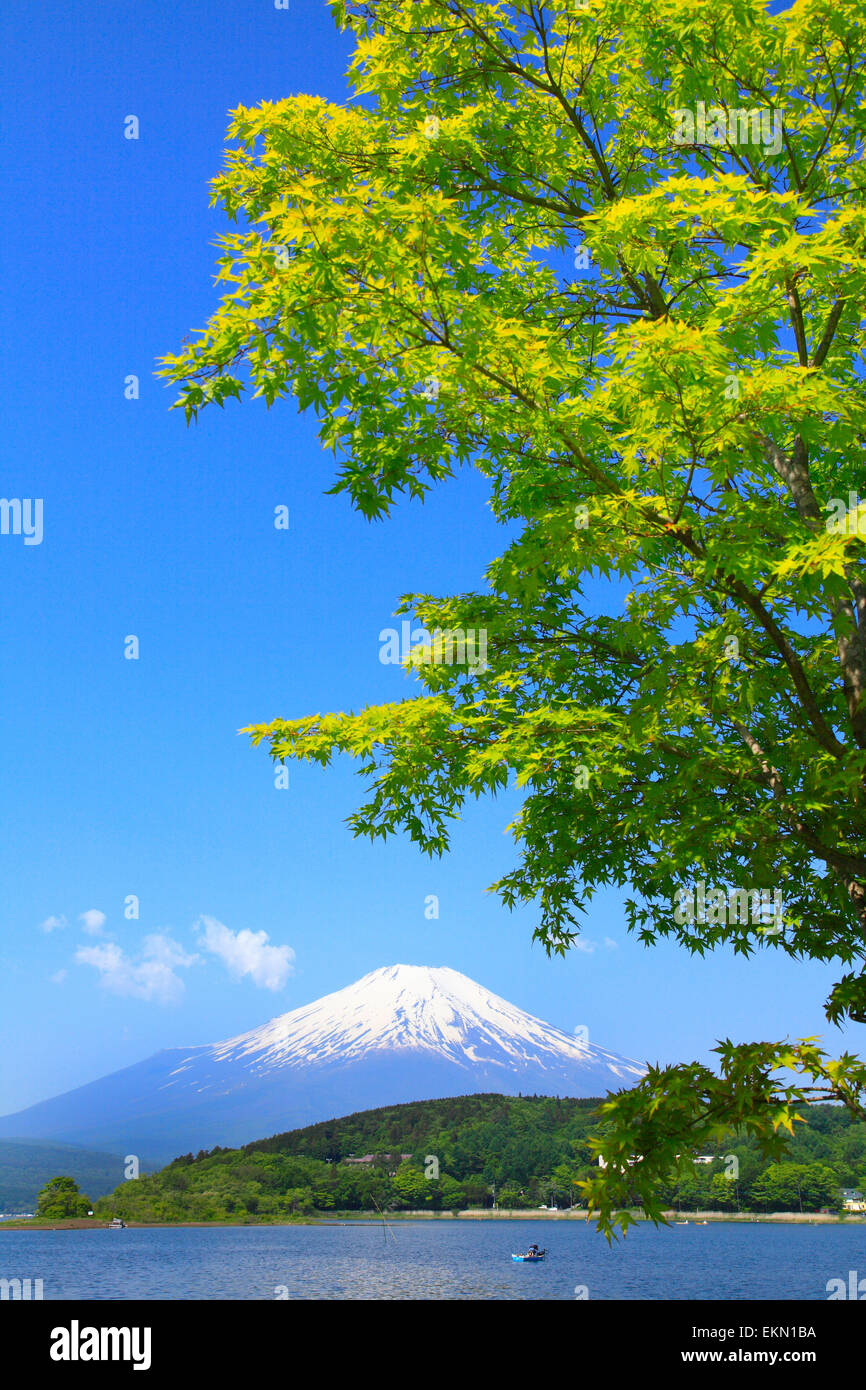 Yamanashi Prefecture, Japan Stock Photo - Alamy