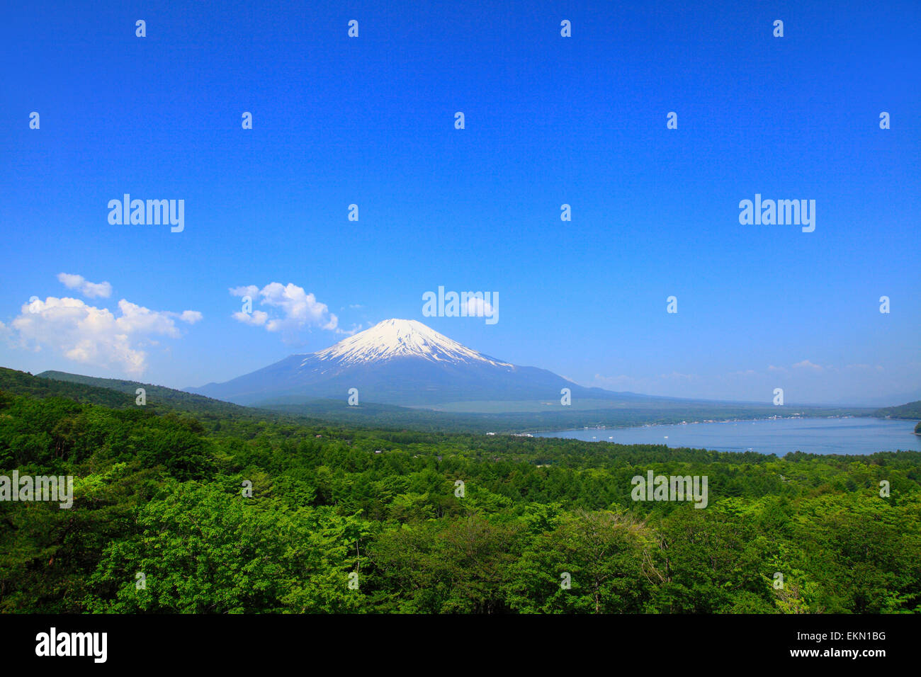 Yamanashi Prefecture, Japan Stock Photo - Alamy