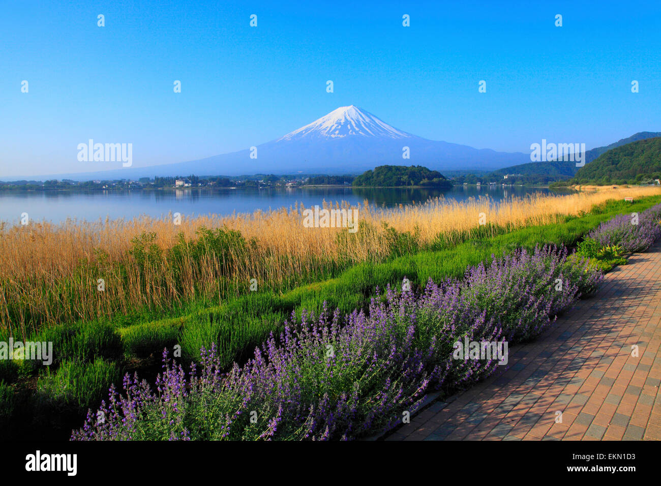 Yamanashi Prefecture, Japan Stock Photo - Alamy