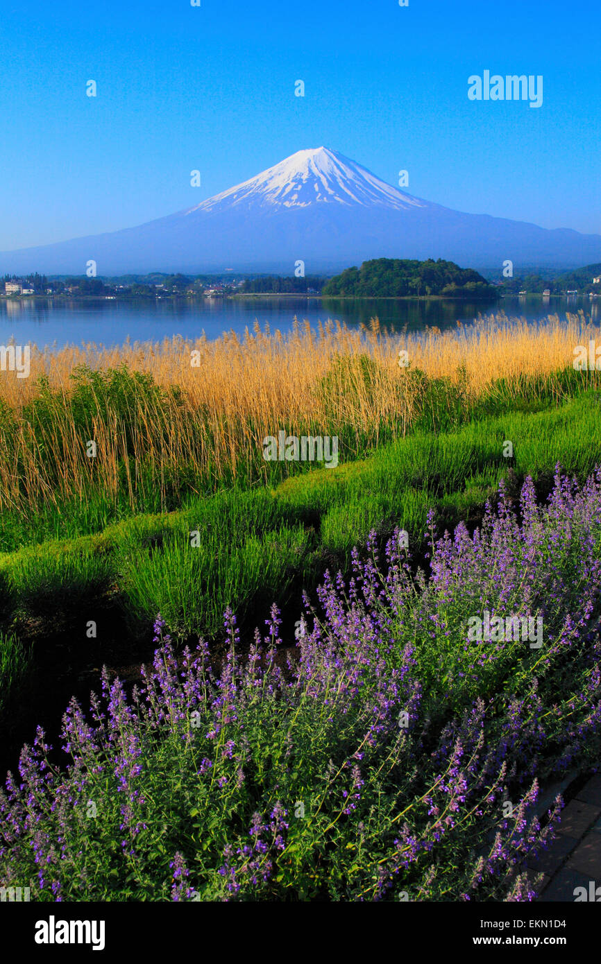 Yamanashi Prefecture, Japan Stock Photo - Alamy