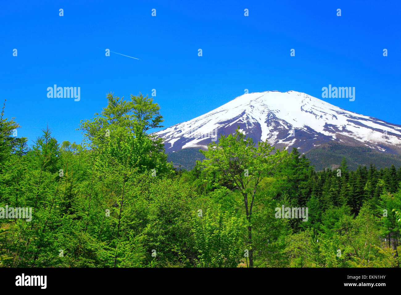 Yamanashi Prefecture, Japan Stock Photo - Alamy