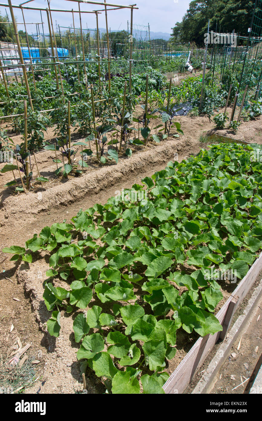 Ridge flower garden hi-res stock photography and images - Alamy