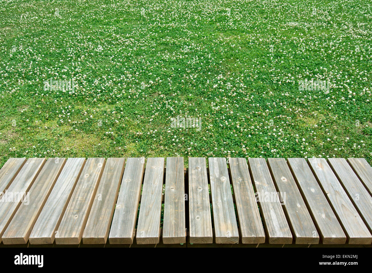 Wooden bench on lawn Stock Photo - Alamy