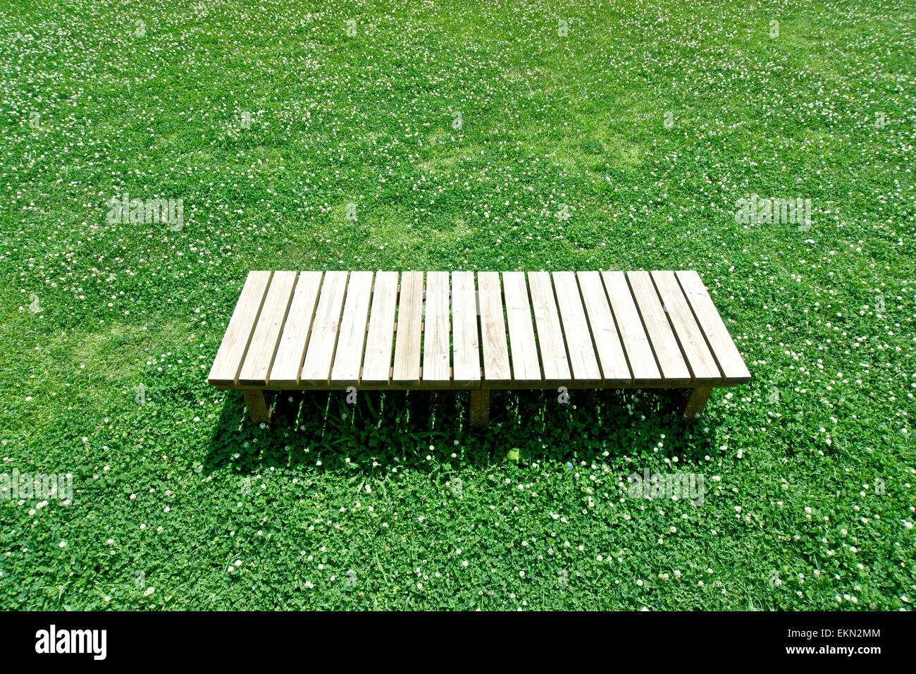 Wooden bench on lawn Stock Photo - Alamy