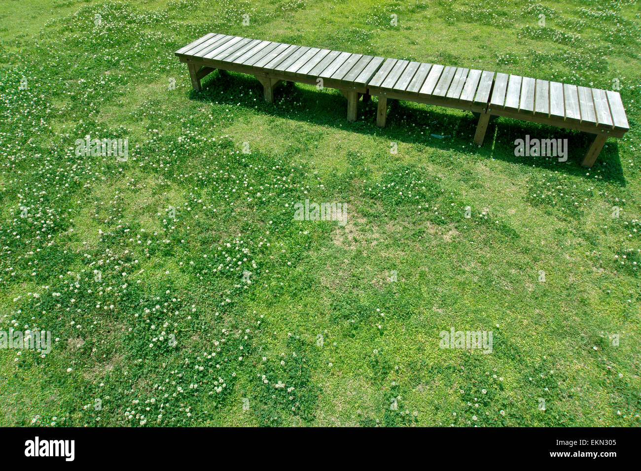 Wooden bench on lawn Stock Photo - Alamy