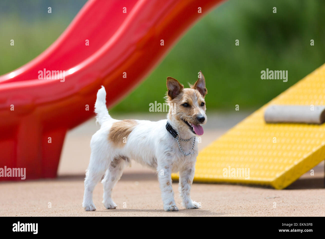 Stand russell hi-res stock photography and images - Alamy