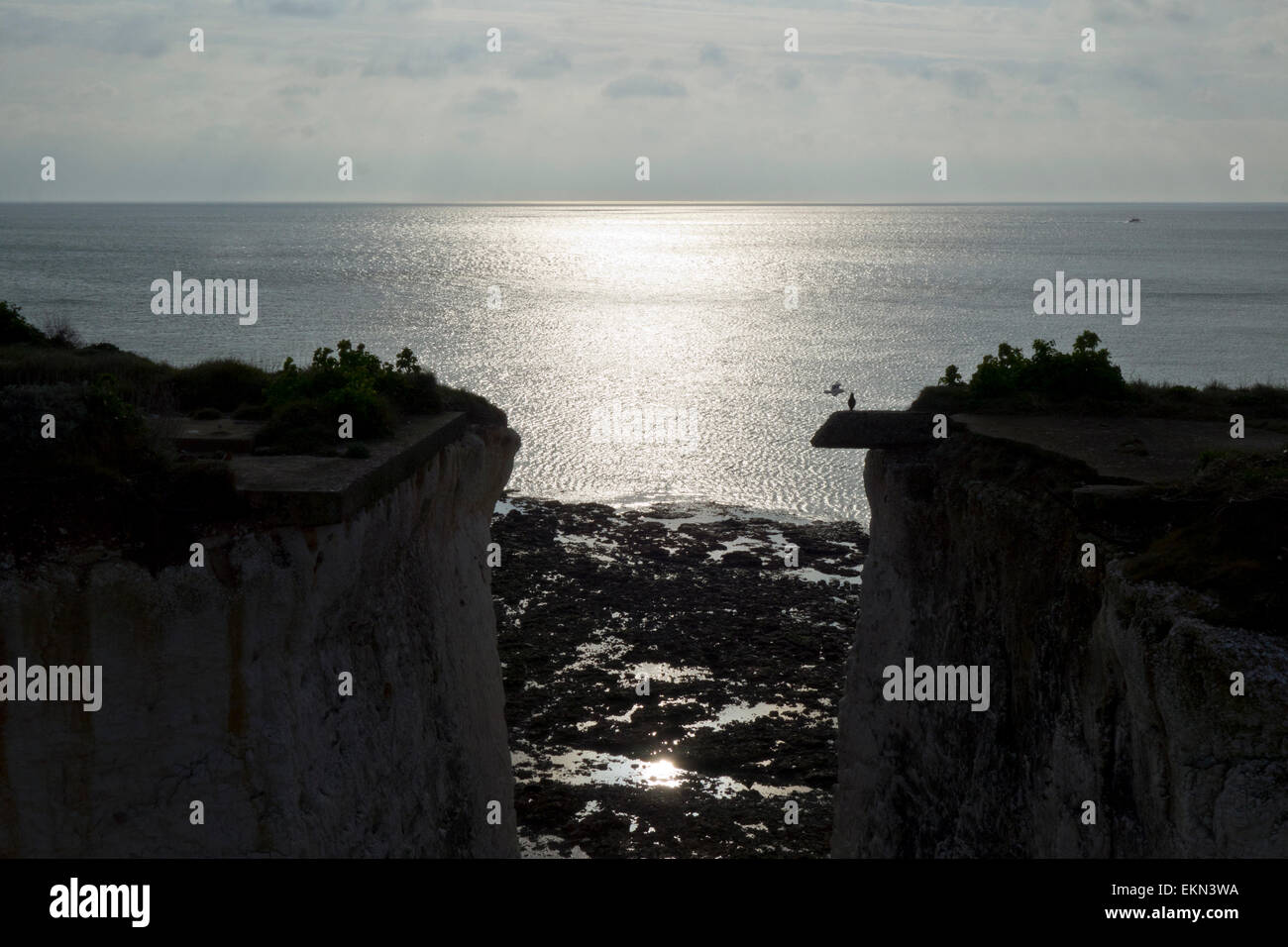 gap slope path in chalk cliffs white ness head Stock Photo - Alamy