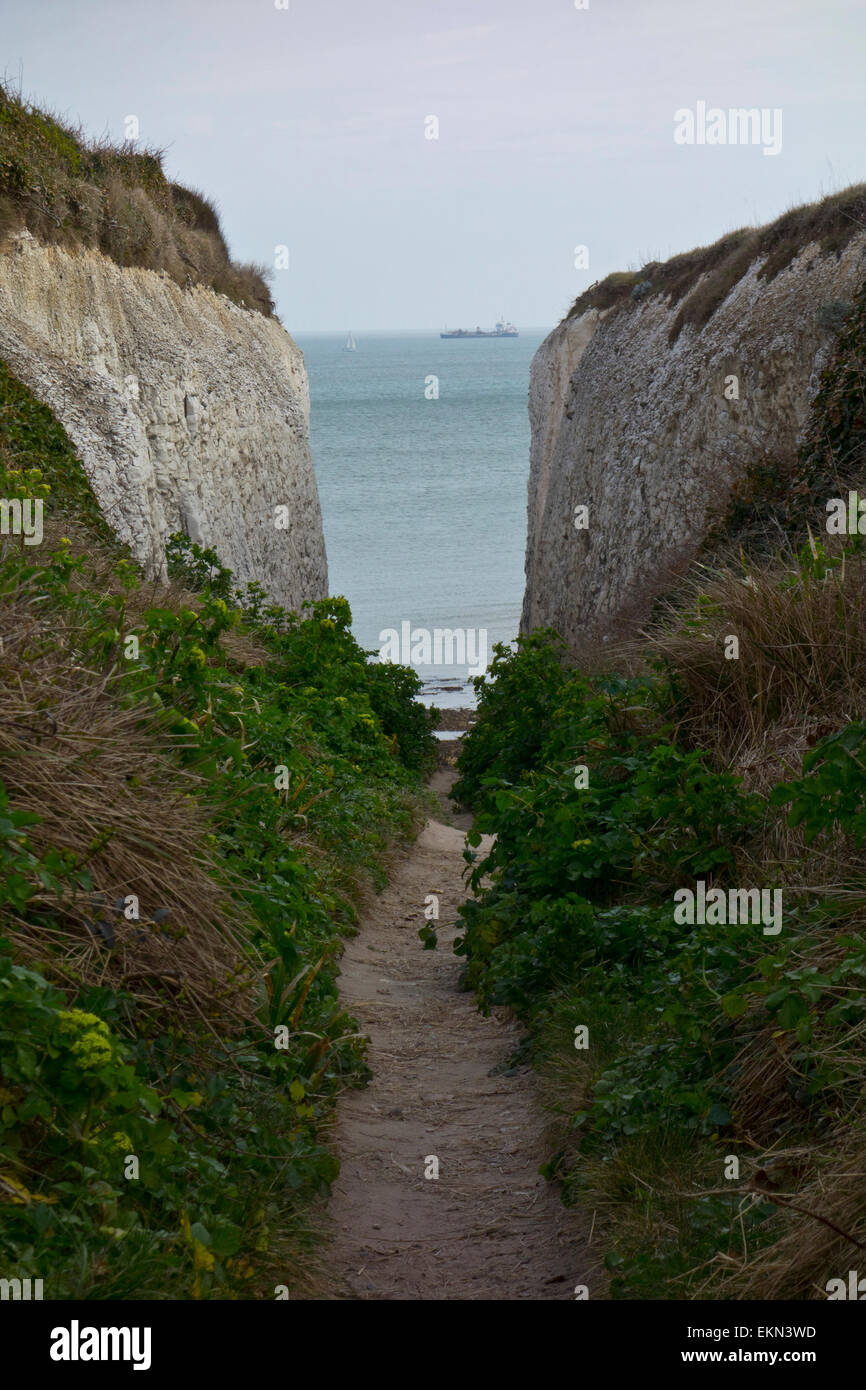 gap slope path in chalk white cliffs white ness head Stock Photo - Alamy