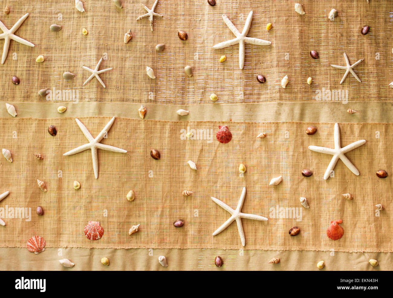 Various of sea shells on fabric for decorated Stock Photo - Alamy