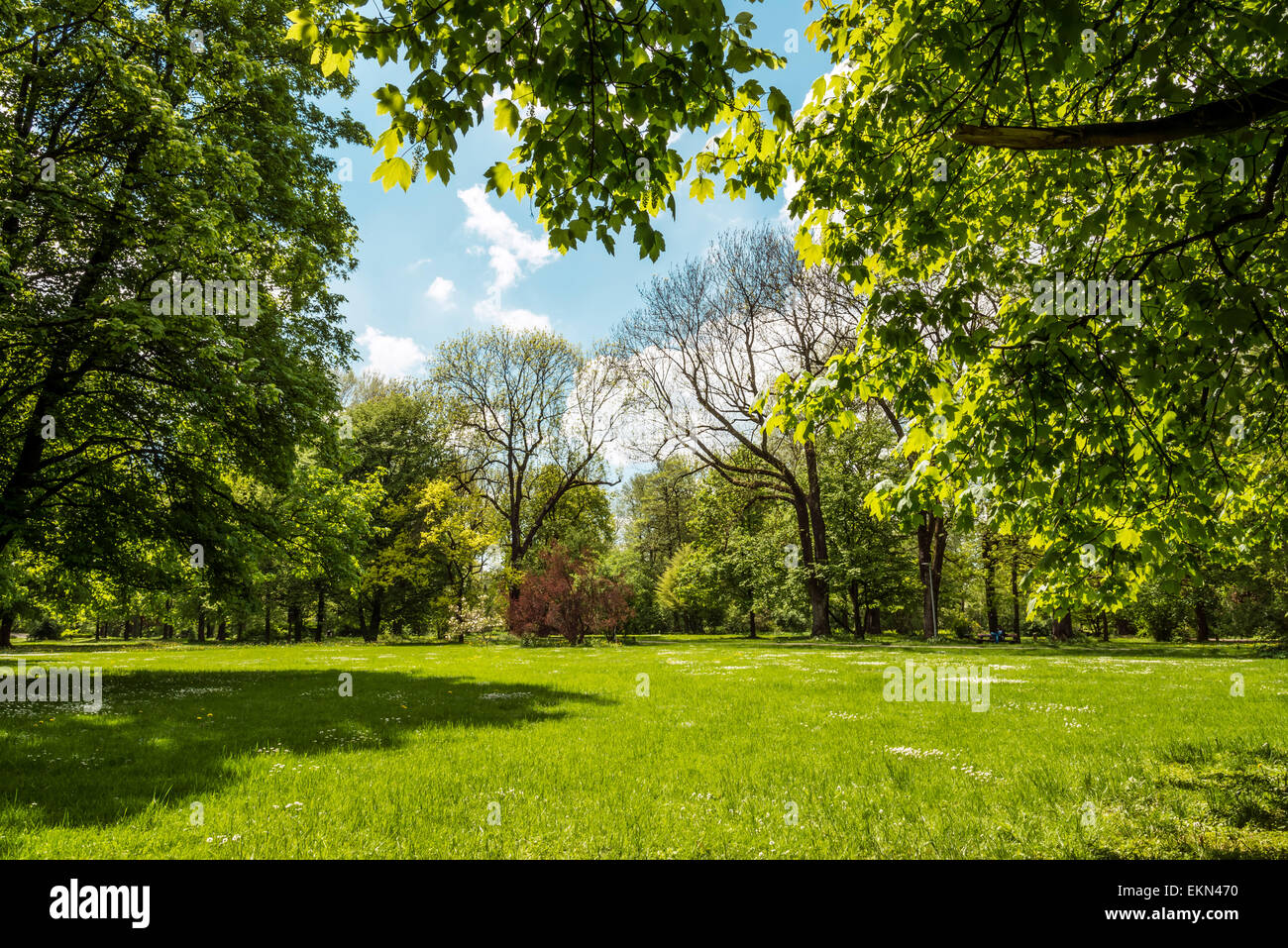 Park in spring Stock Photo - Alamy