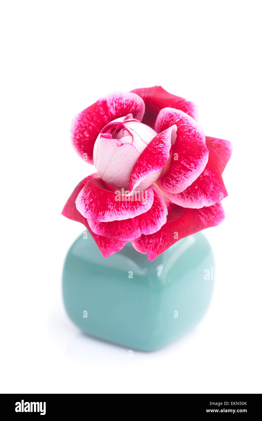 Unusual close up Cut Out Stock Images & Pictures - Alamy