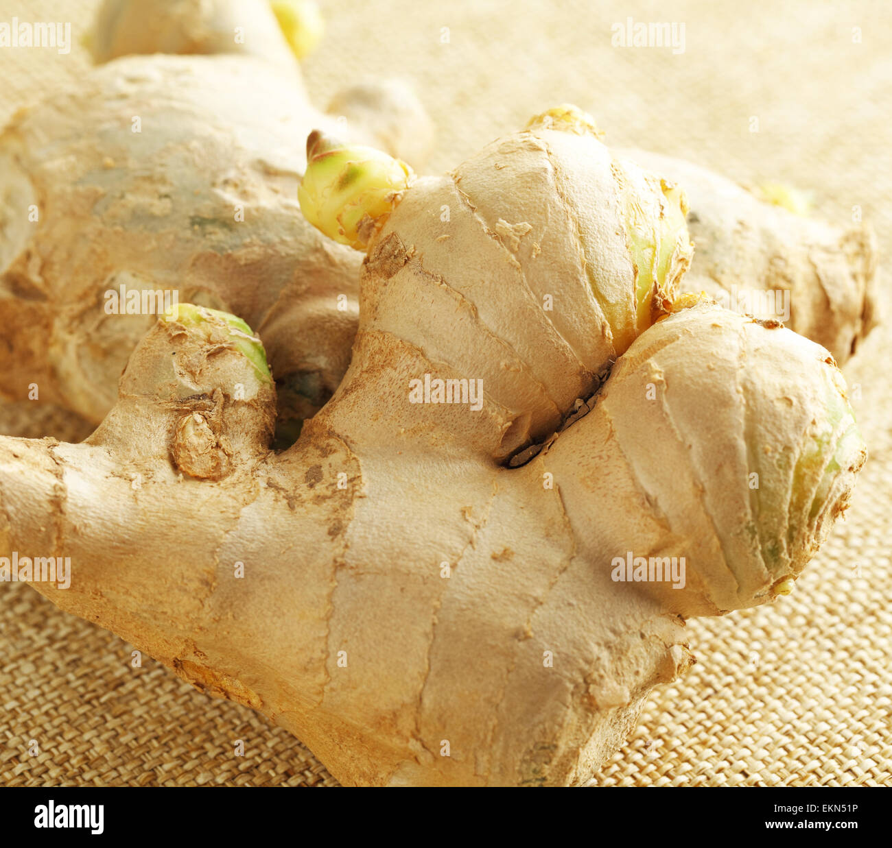 Ginger root fabric hi-res stock photography and images - Alamy