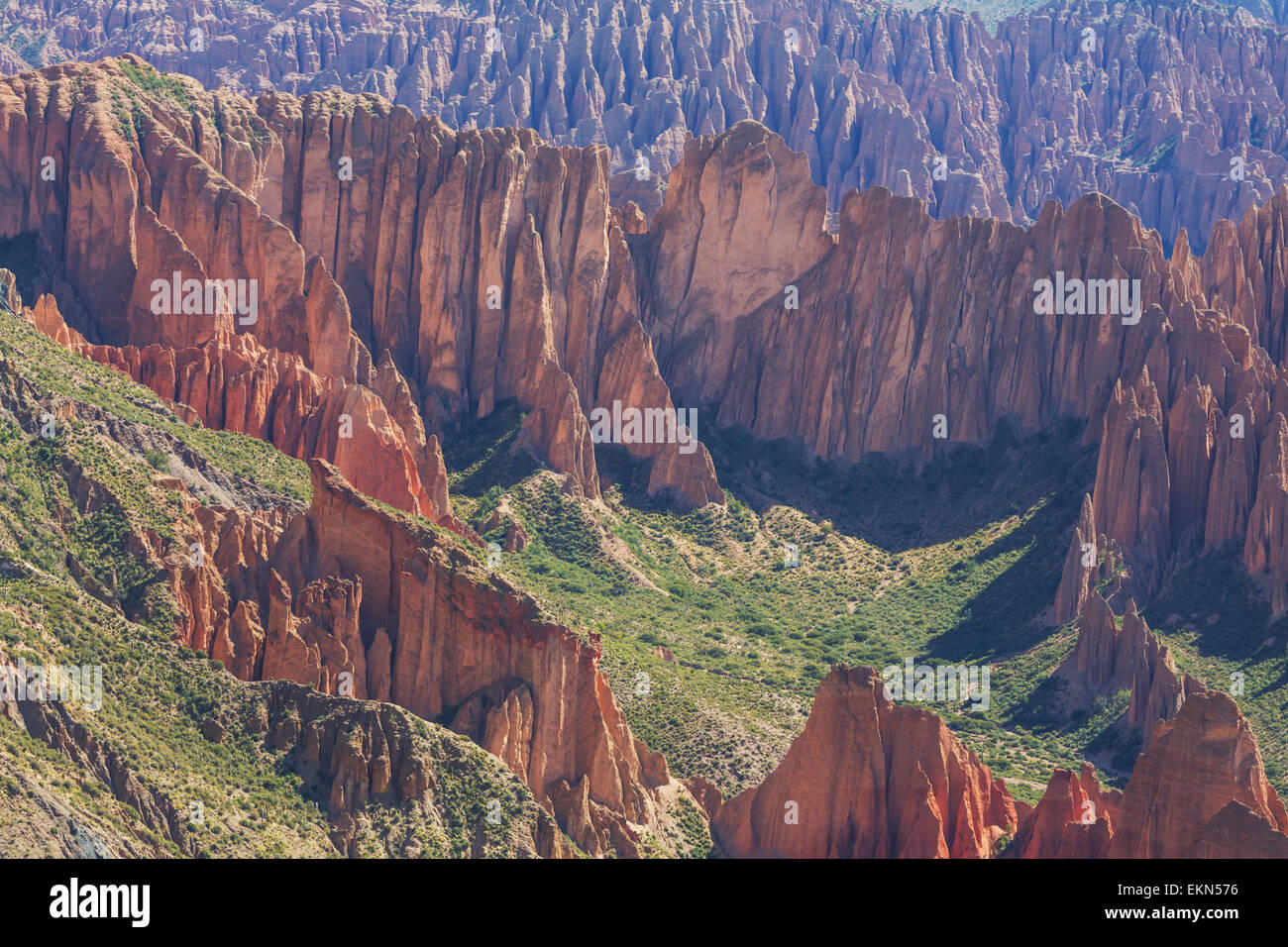 Hudu in Bolivia Stock Photo - Alamy
