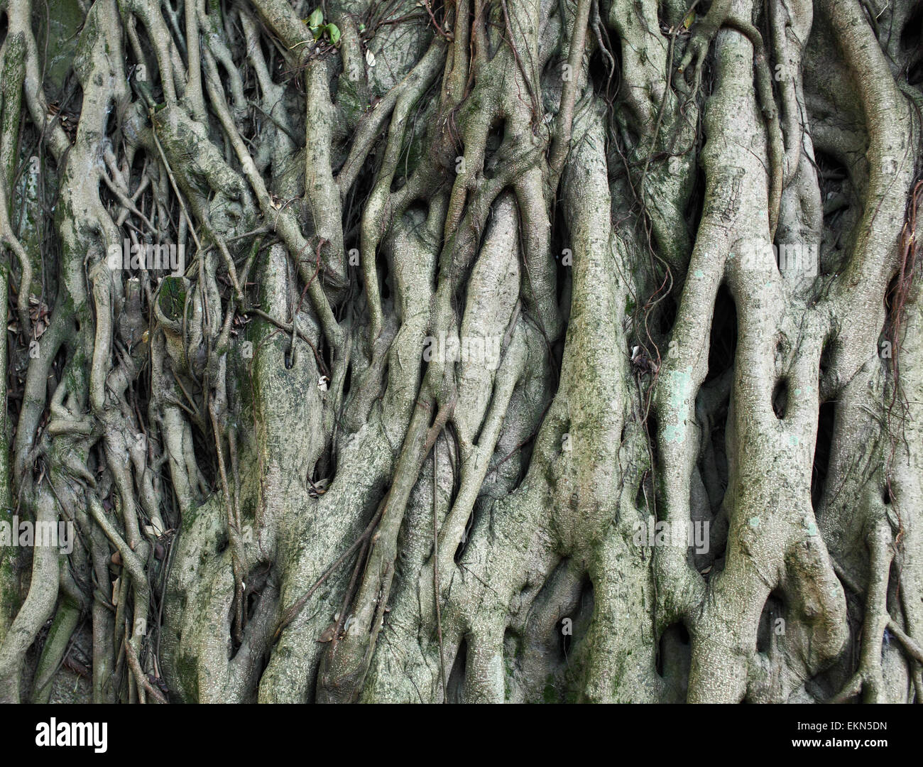 Below the design hi-res stock photography and images - Alamy